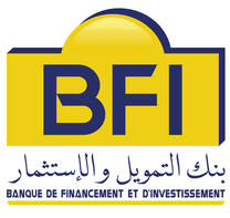 Banque de Financement et d'Investissement (BFI)
